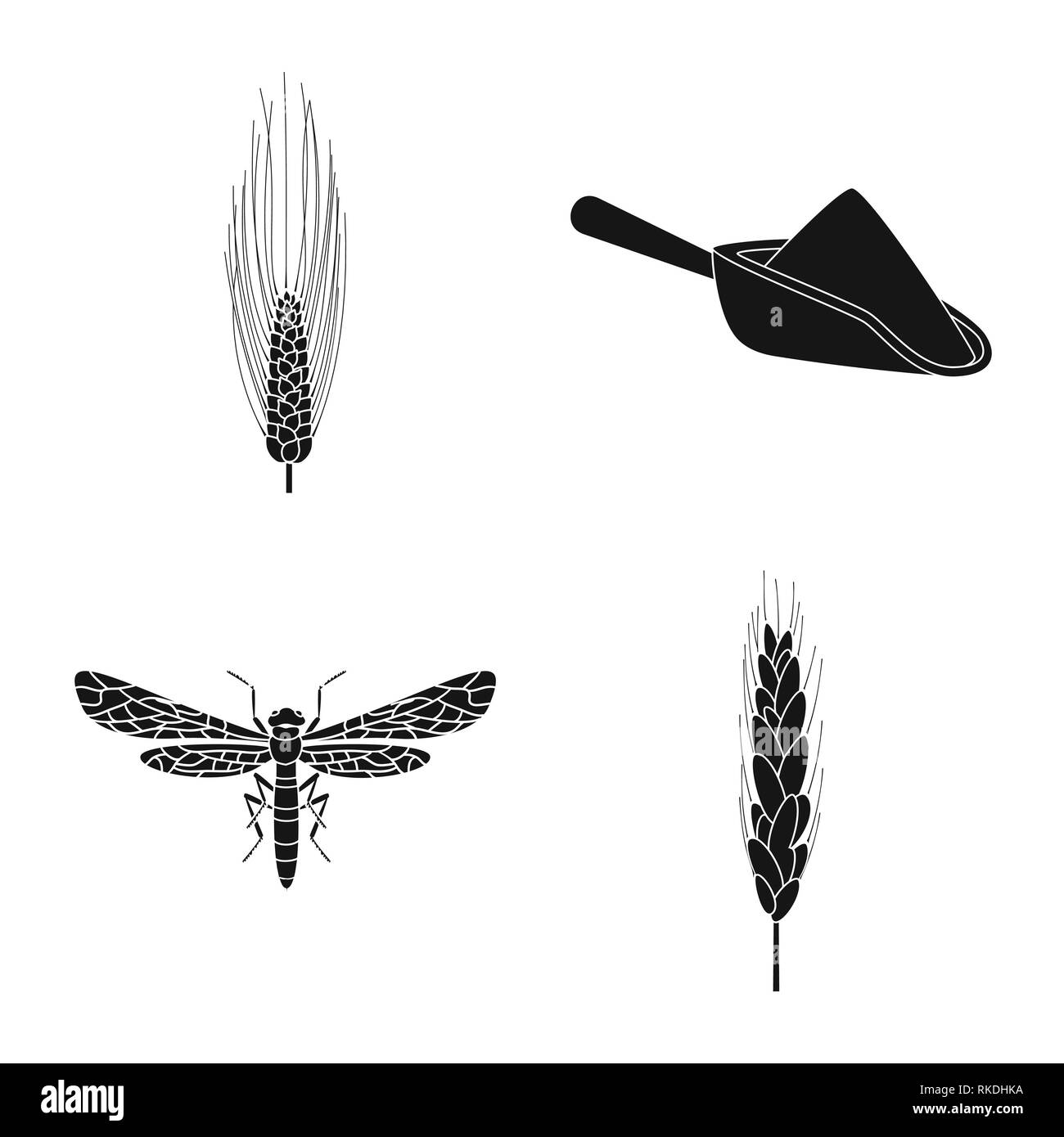 barley,flour,fly,spring,meal,insect,spike,winter,scoop,pest,durum ...