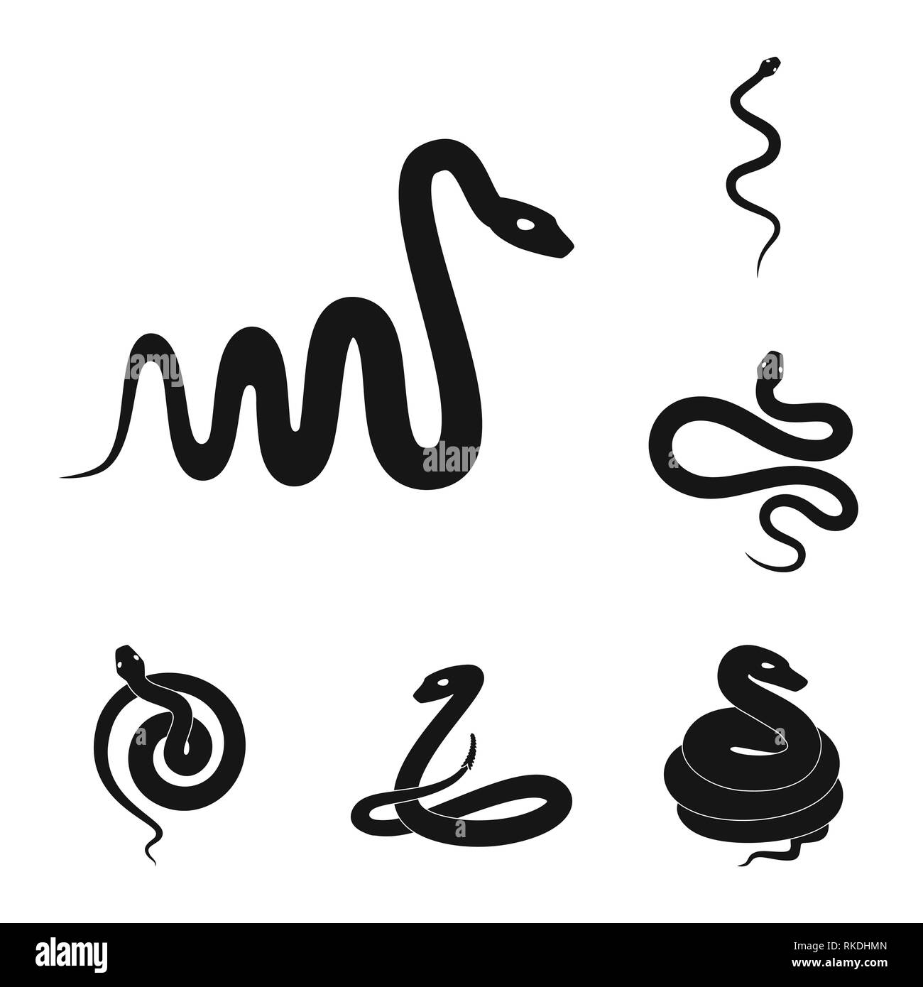 Large python snake Black and White Stock Photos & Images - Alamy