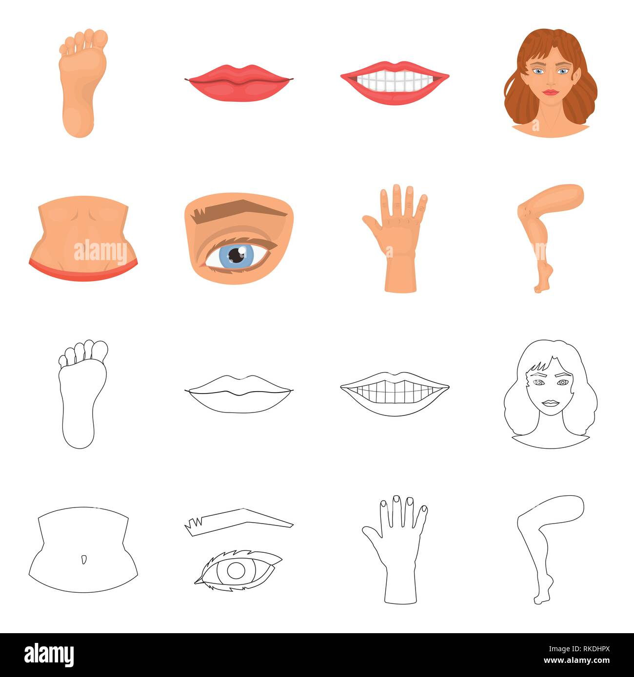 Vector illustration of body and part sign. Set of body and anatomy ...