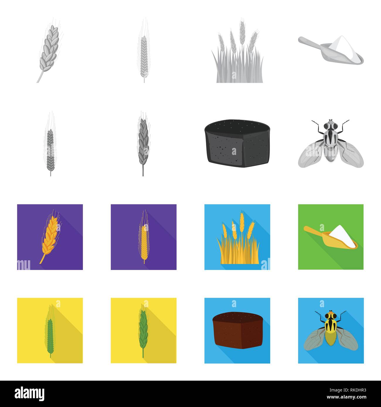 spring,flour,bread,fly,spike,winter,meal,insect,durum,barley,scoop ...