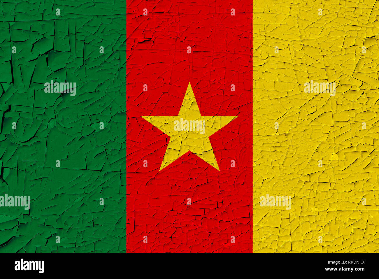 Cameroon painted flag. Patriotic old grunge background. National flag ...