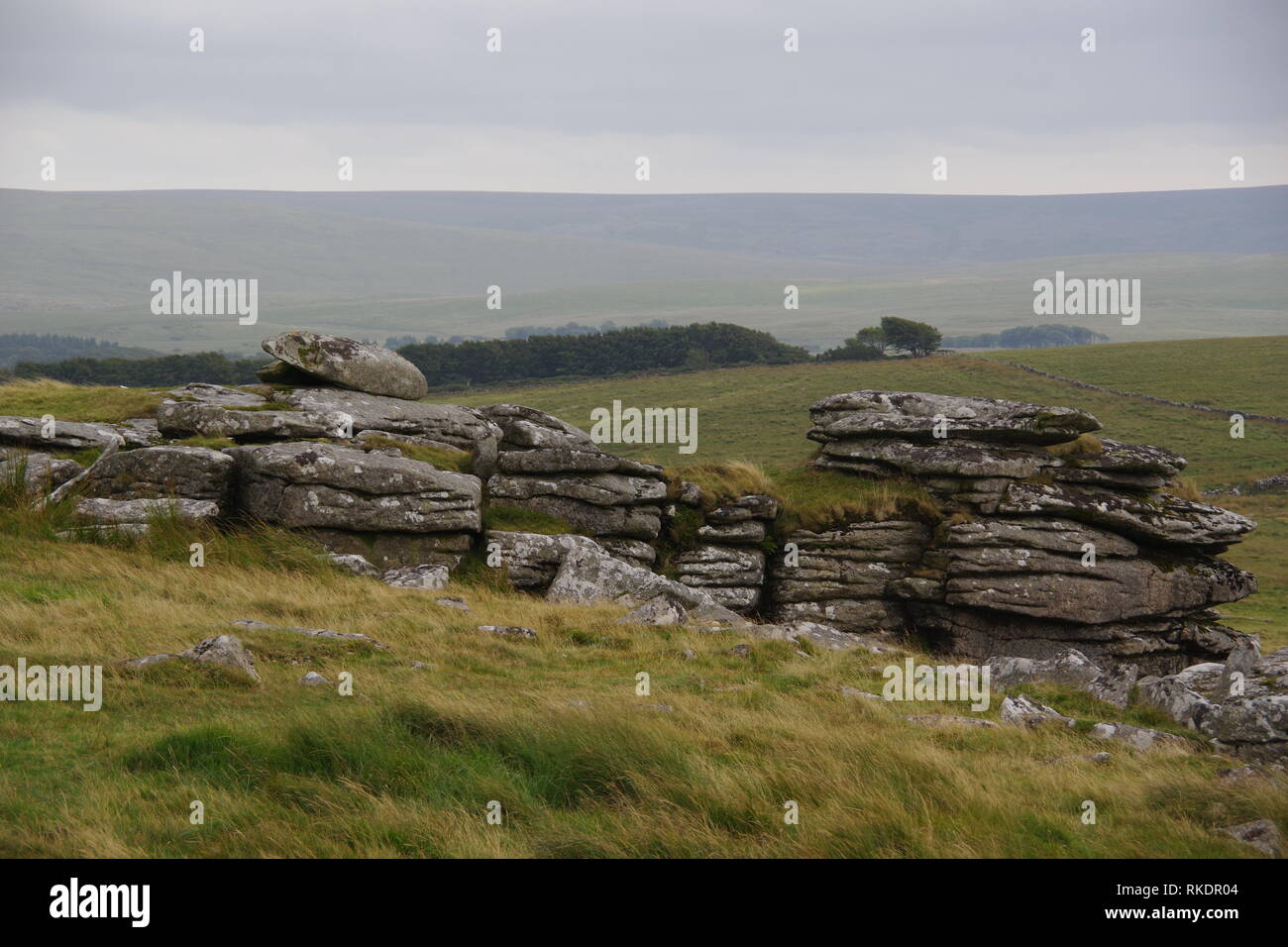 Littaford Tors, Cornubian Granite Tor on a Grey Day. By Wistmans Wood ...