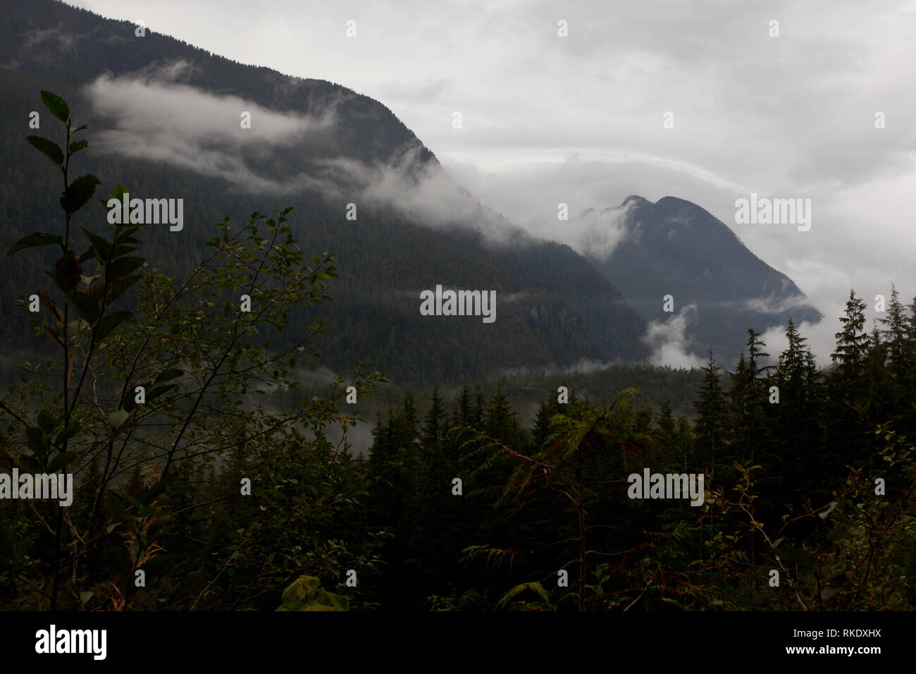 Tofino Inlet, Vancouver Island, British Columbia, Canada Stock Photo ...