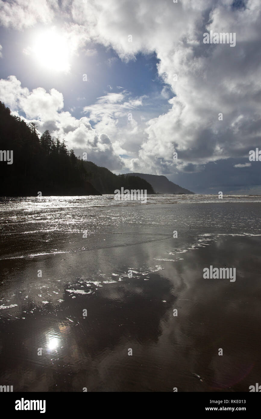 Cape Scott Provincial Park, Vancouver Island, British Columbia, Canada ...