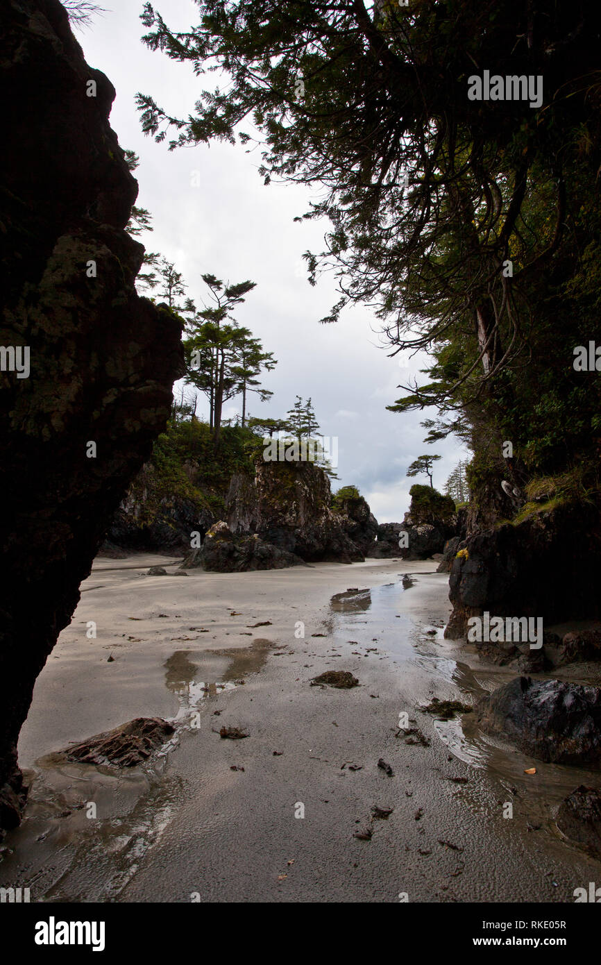 Cape Scott Provincial Park, Vancouver Island, British Columbia, Canada ...