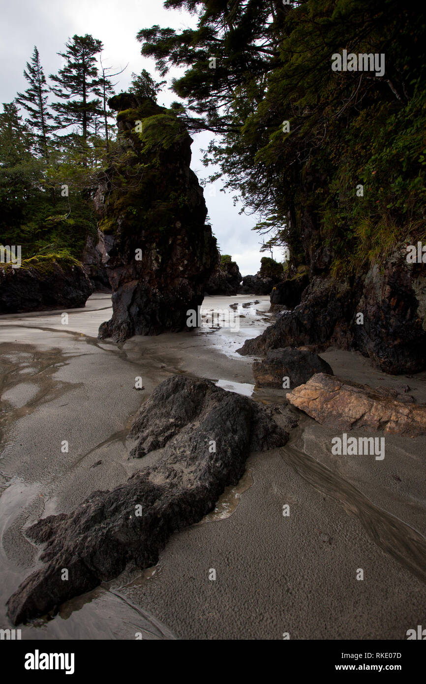 Cape Scott Provincial Park, Vancouver Island, British Columbia, Canada ...