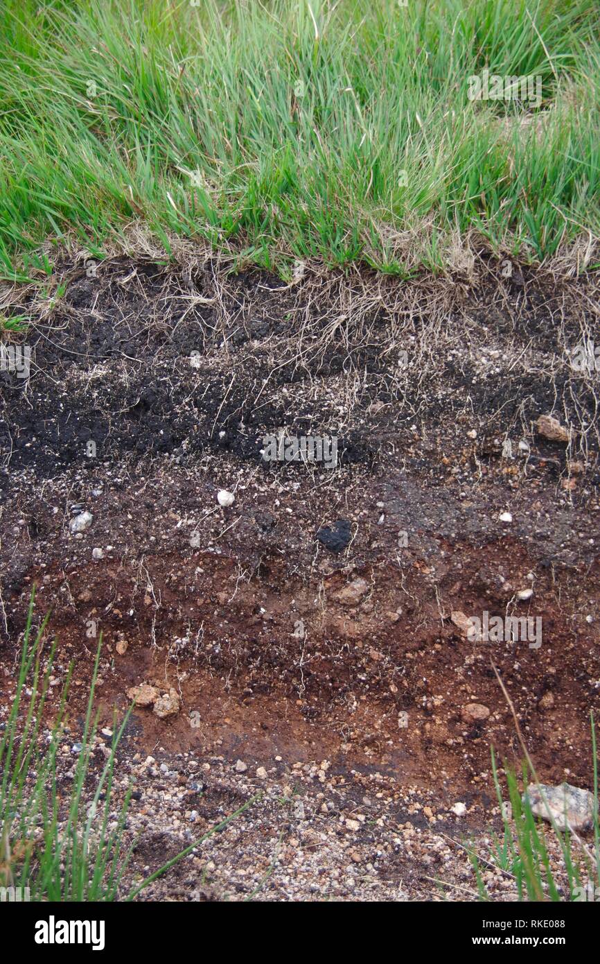 Soil profile cross section hi-res stock photography and images - Alamy