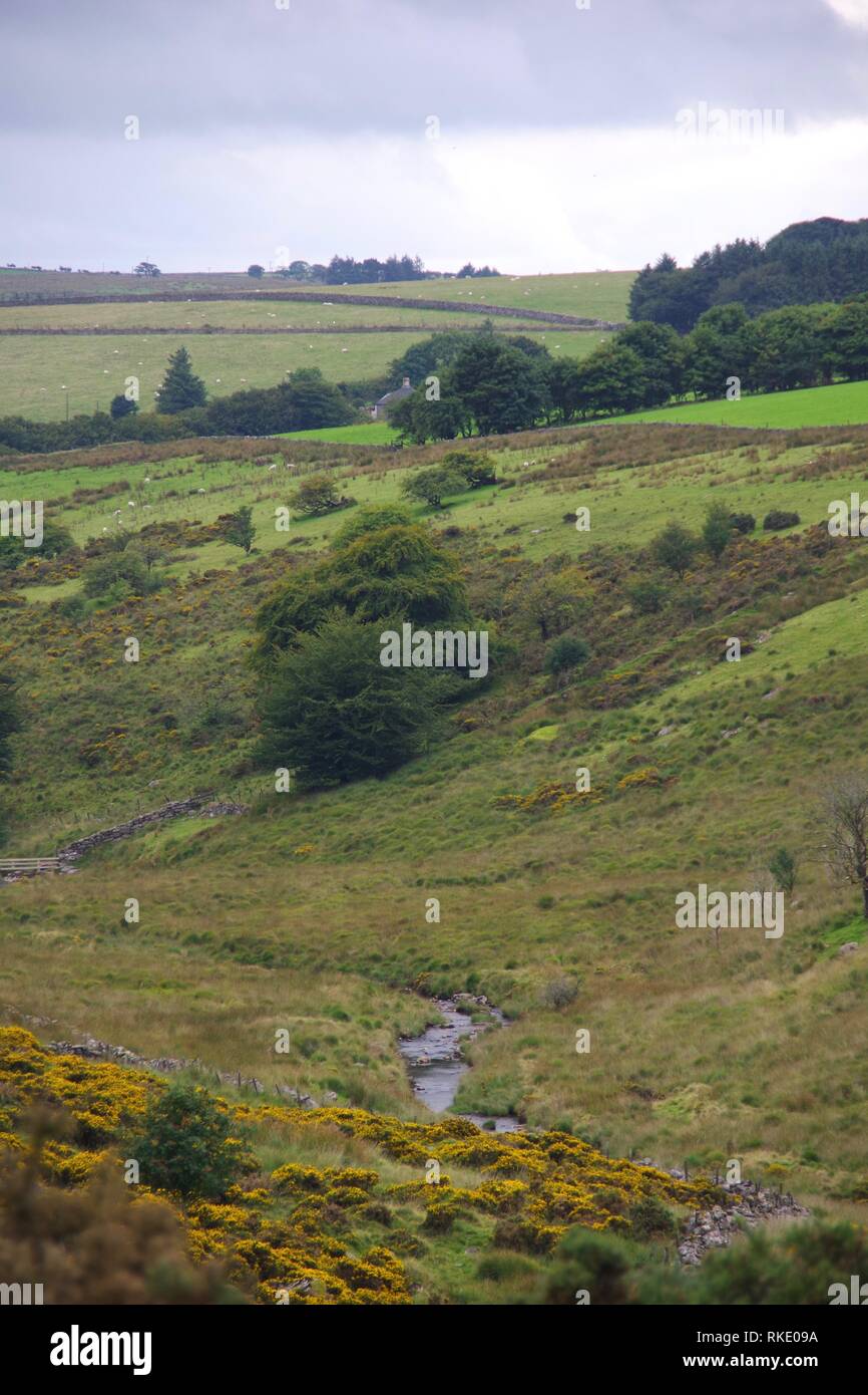 West River Dart Meandering through a Gentle Valley by Wistmans Wood ...