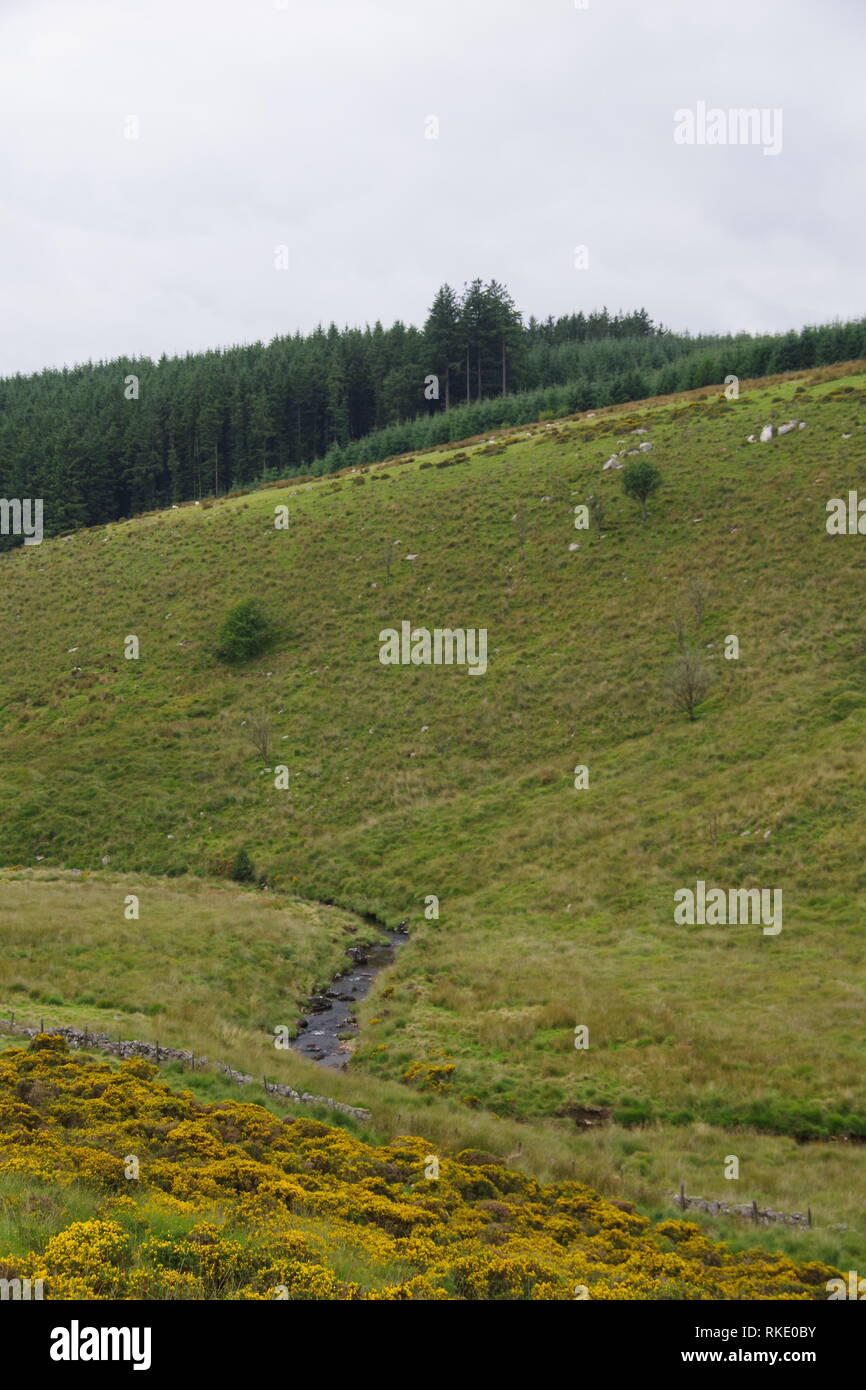 West River Dart Meandering through a Gentle Valley by Wistmans Wood ...