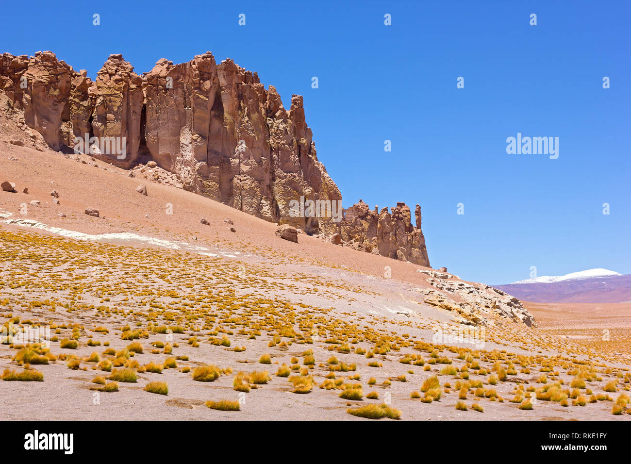 Natural beauty of a vast desert grassland at the foot of whimsical rock ...