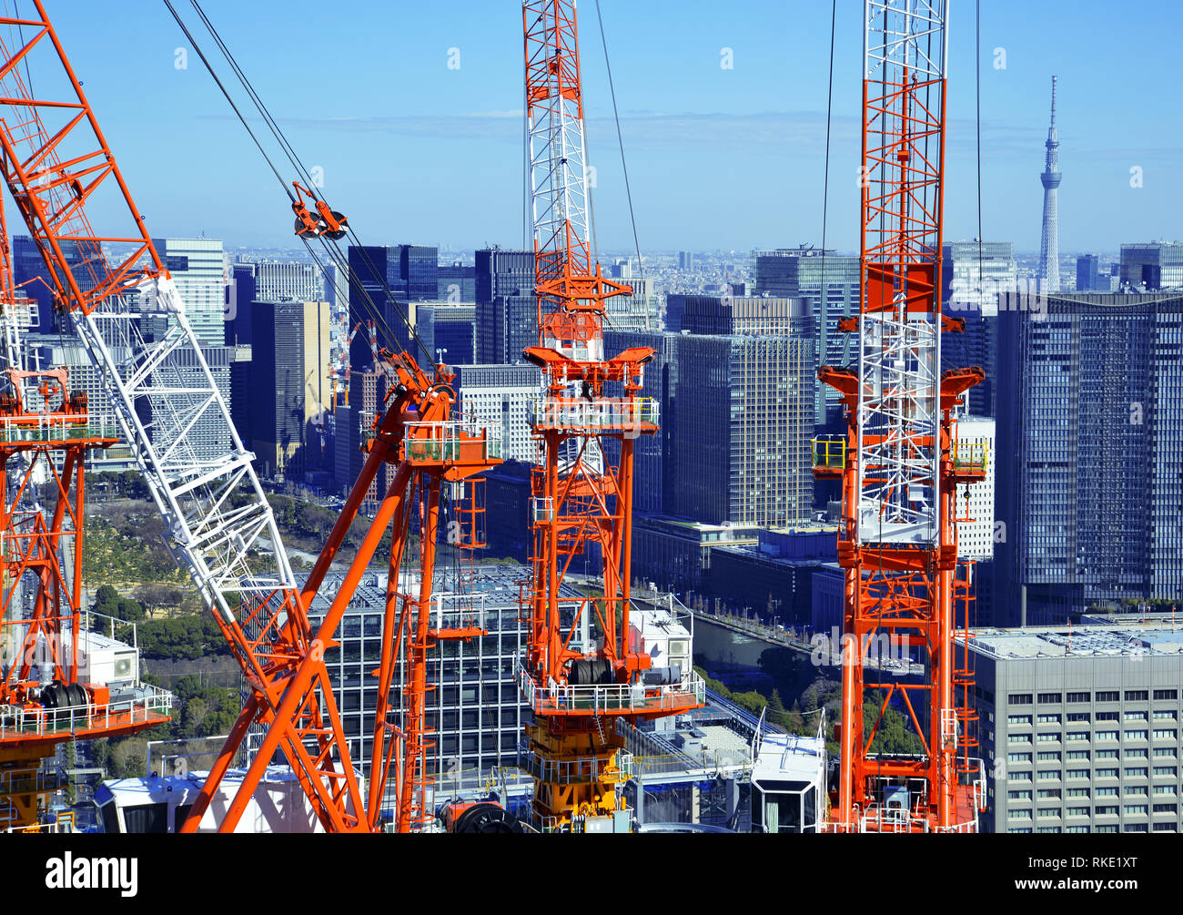 Tower Cranes on top of skyscraper a popular sight with the recent ...