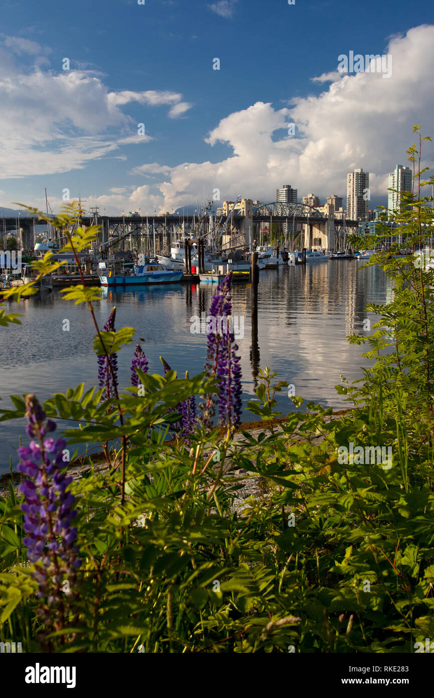 Vancouver, Lower Mainland, British Columbia, Canada Stock Photo - Alamy