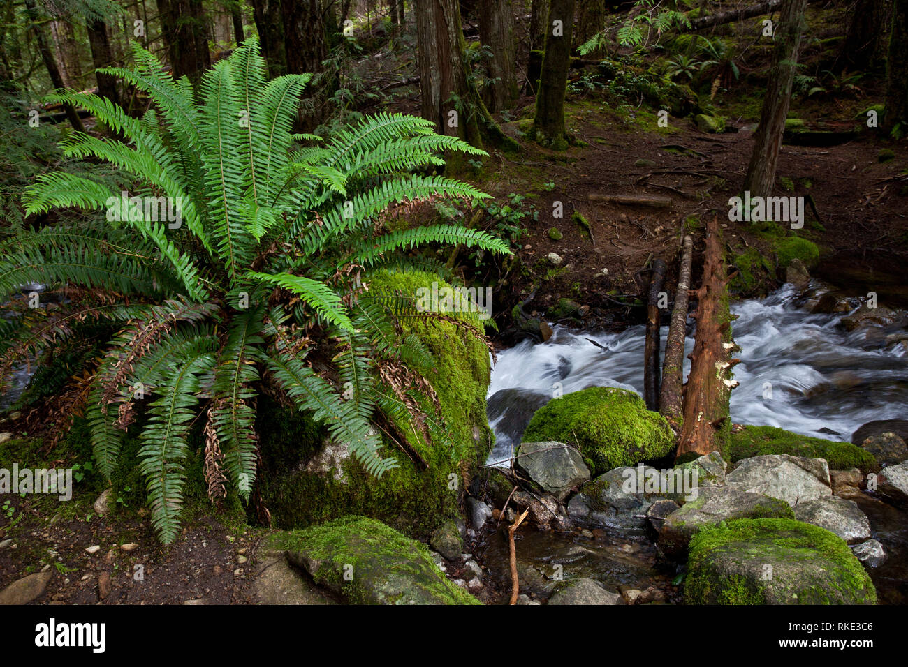 Tenedos hi-res stock photography and images - Alamy