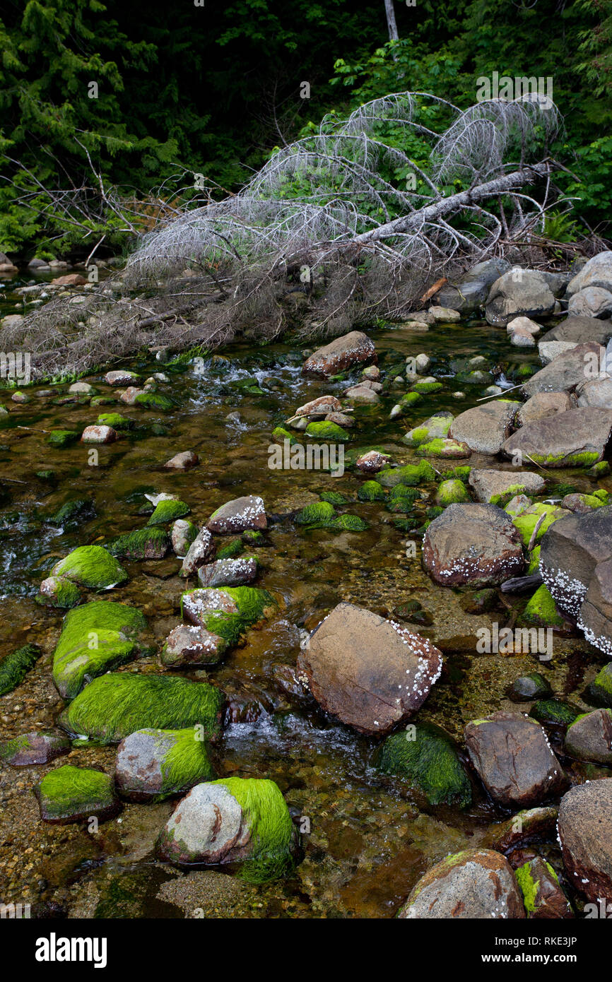 Desolation bay hi-res stock photography and images - Alamy