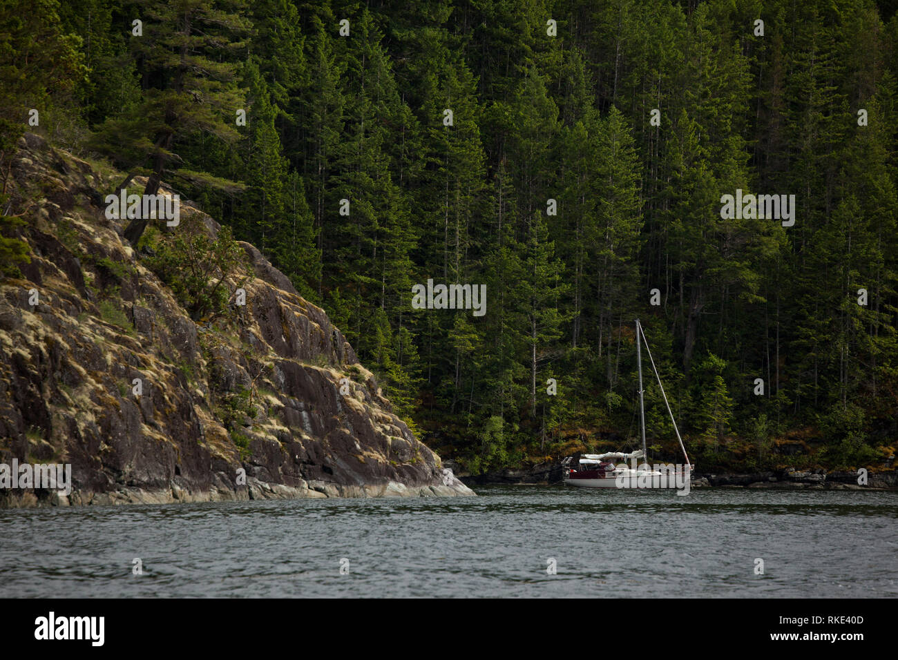 Desolation island hi-res stock photography and images - Alamy