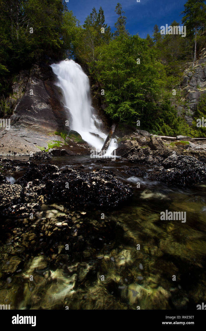 Teakerne arm hi-res stock photography and images - Alamy