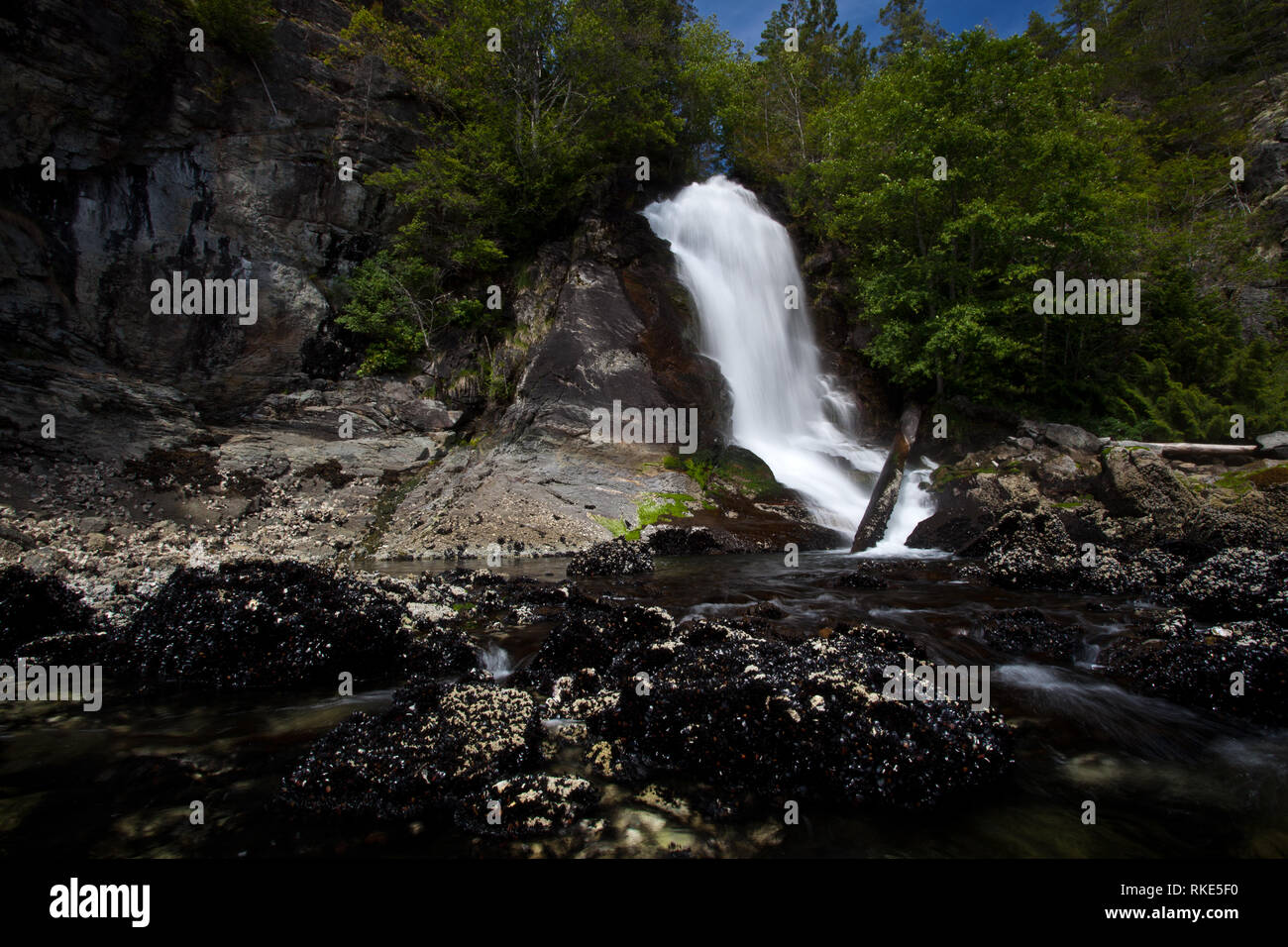 Teakerne arm hi-res stock photography and images - Alamy