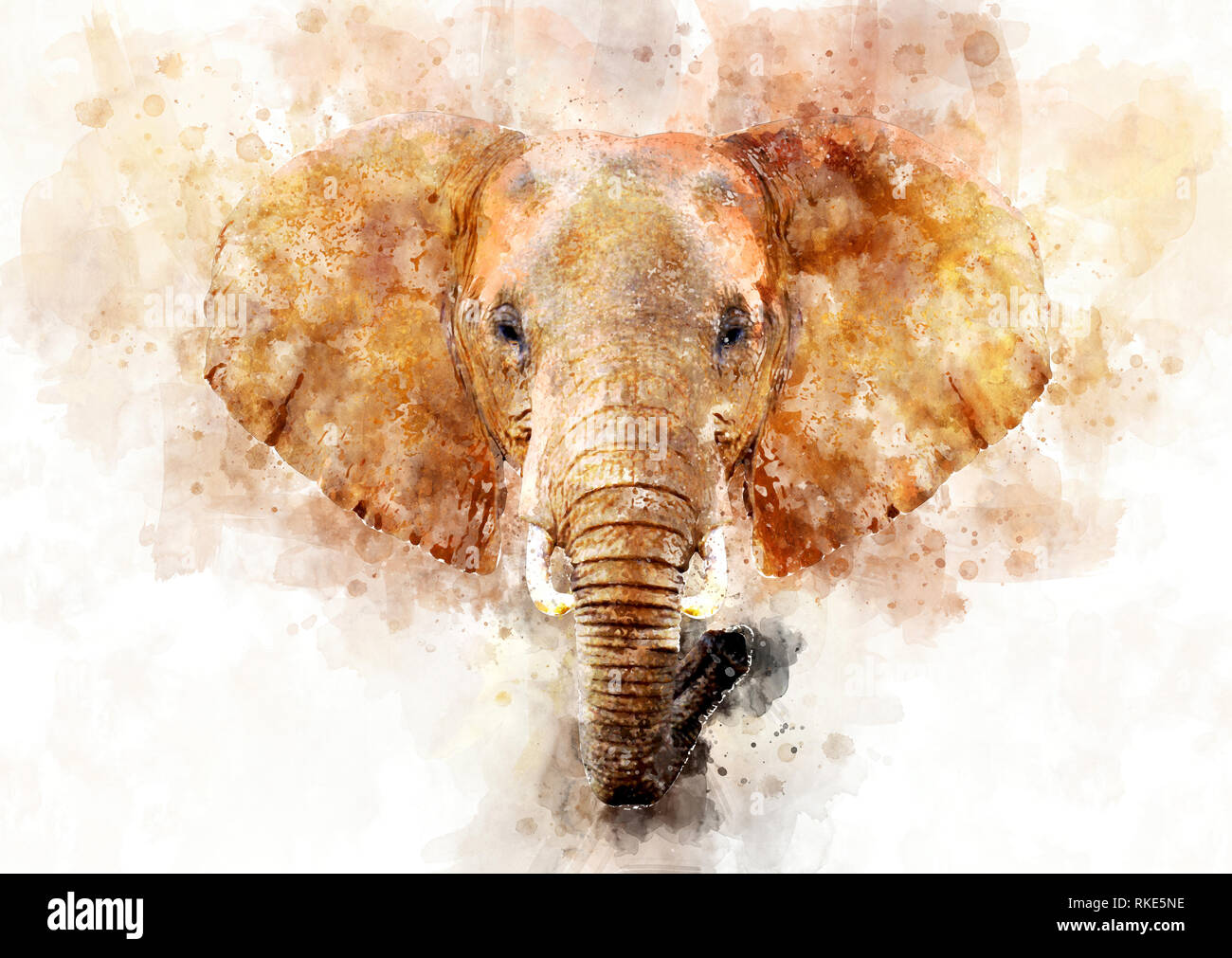 Watercolor illustration elephant portrait. Beautiful wildlife world ...