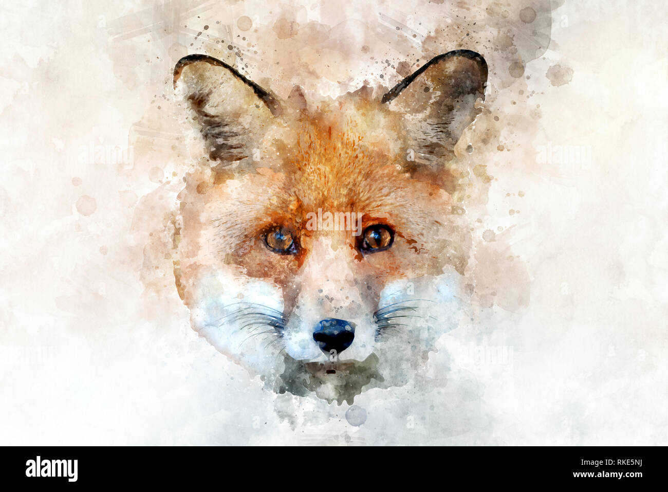 Fox Watercolour