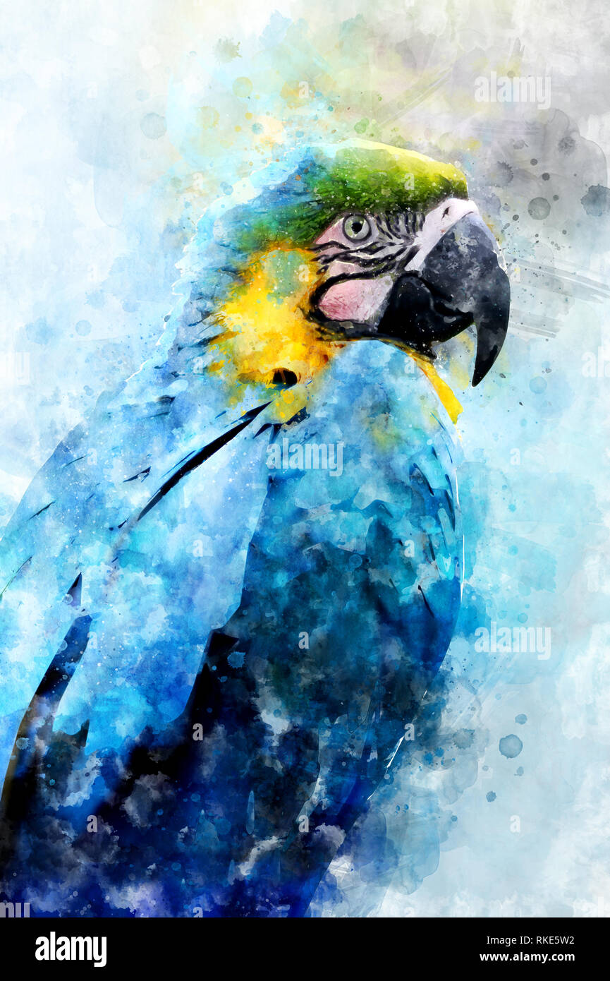 Watercolor illustration parrot portrait. Beautiful wildlife world Stock ...