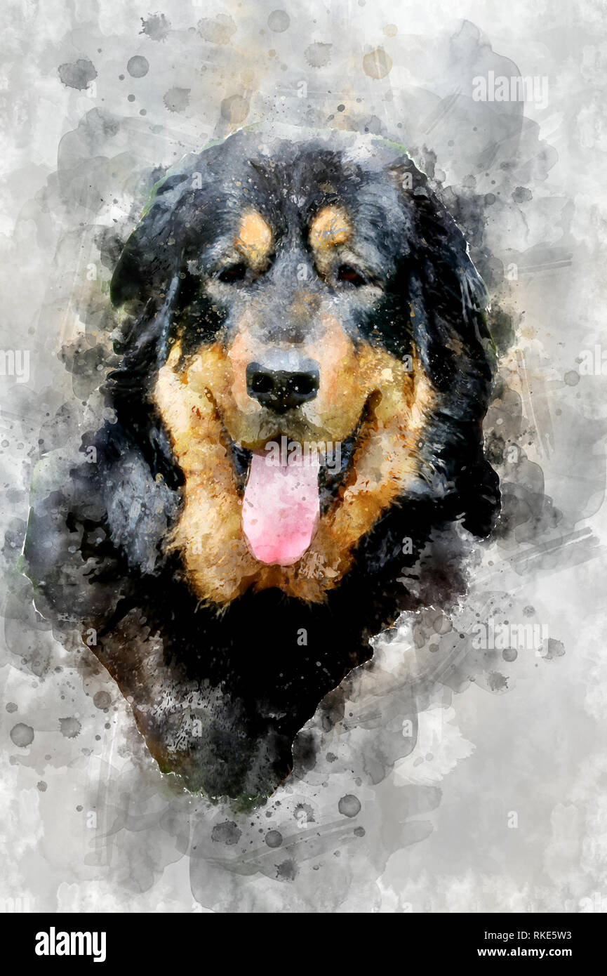 Watercolor illustration dog portrait. Beautiful wildlife world Stock ...
