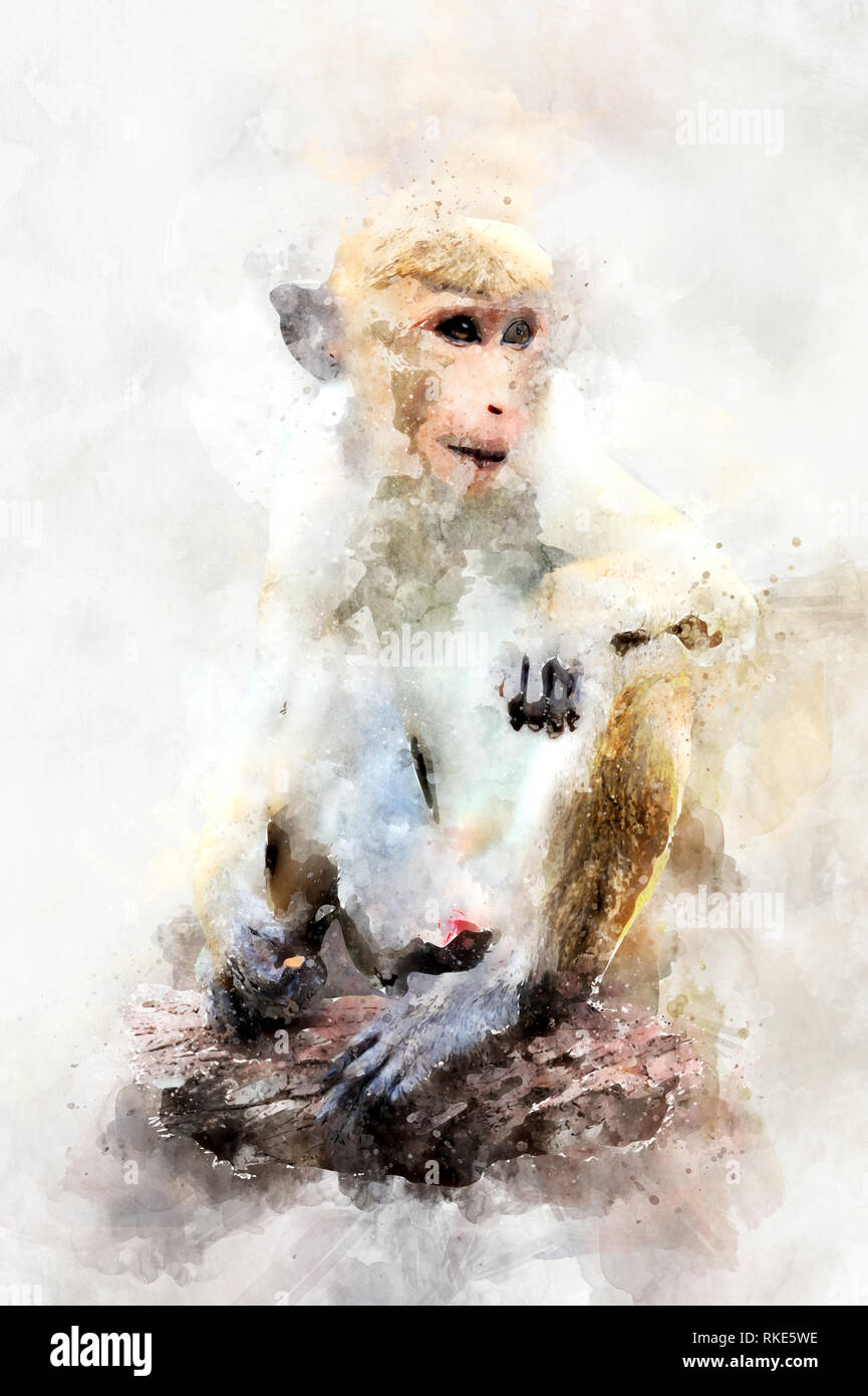 Watercolor illustration with a monkey portrait. Beautiful wildlife ...