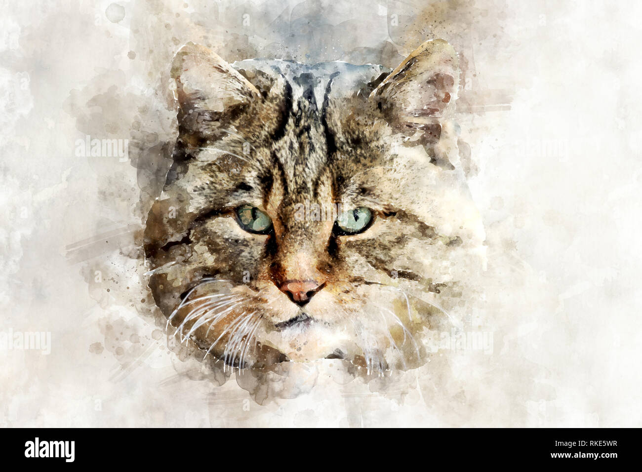 Watercolor illustration cat portrait. Beautiful wildlife world Stock ...