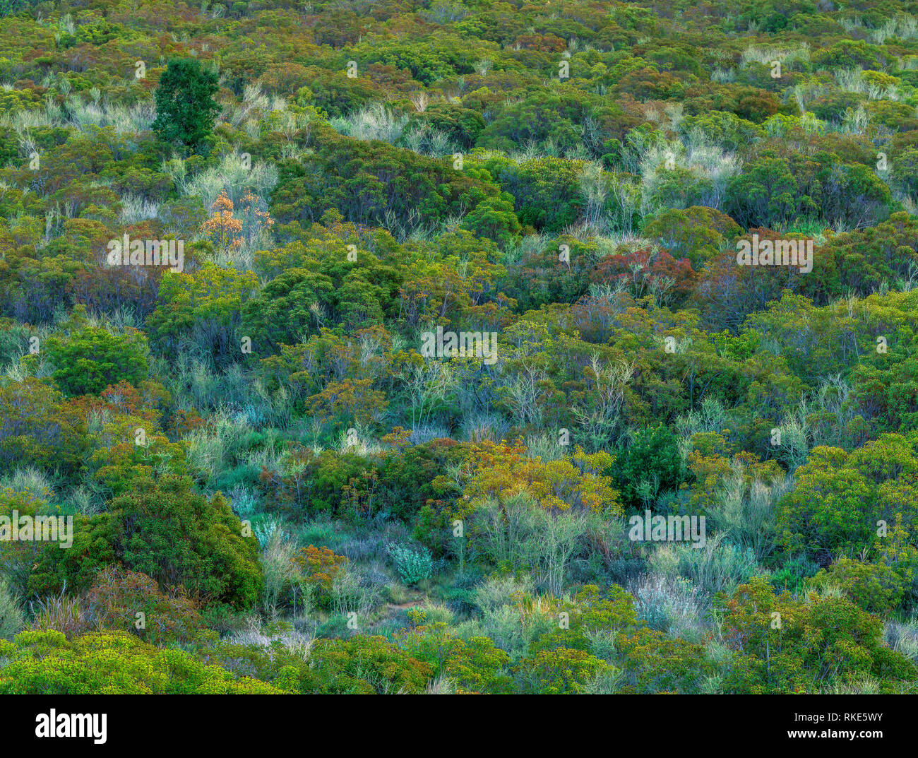 Hillside texture hi-res stock photography and images - Alamy