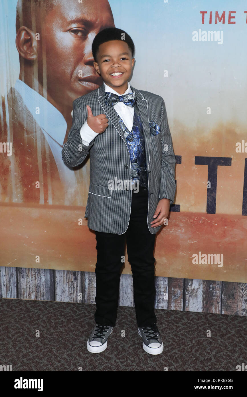 HBO's True Detective Los Angeles Premiere Season 3 at the Director's ...