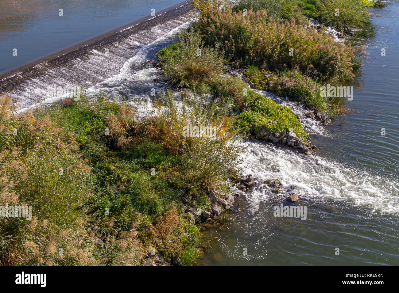 Riverside riparian hi-res stock photography and images - Alamy
