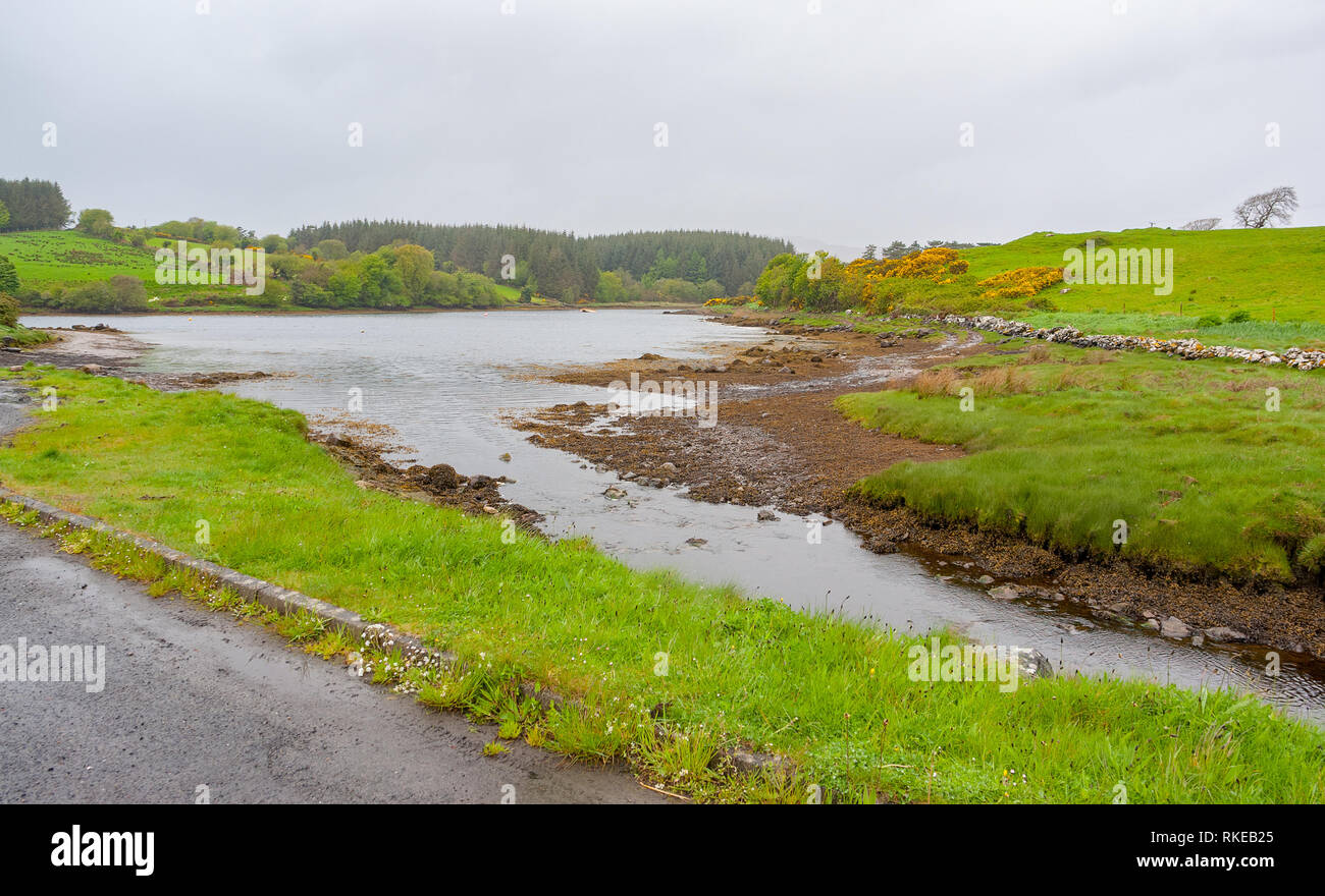 Wetland plant ireland hi-res stock photography and images - Alamy