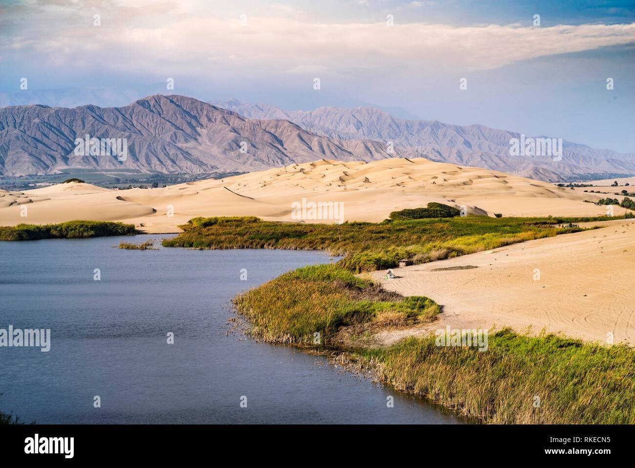 Ica hi-res stock photography and images - Alamy