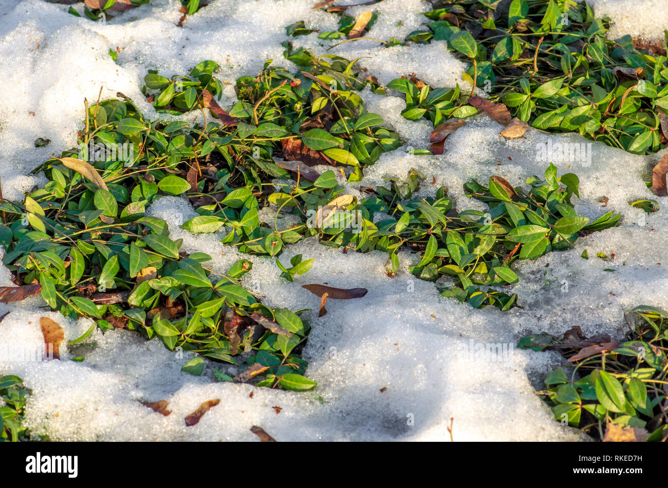 Thawing the sun hi-res stock photography and images - Alamy