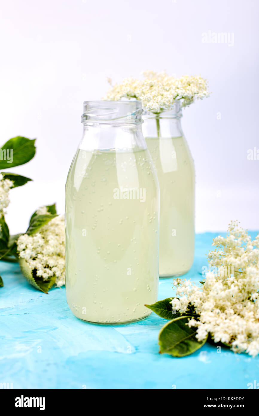Kombucha tea with elderflower flower on blue background . Homemade ...