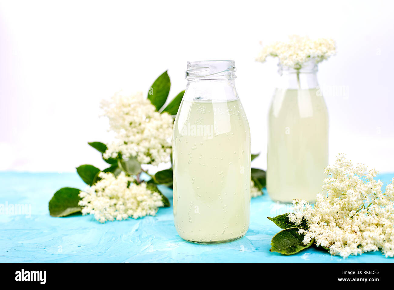Kombucha tea with elderflower flower on blue background . Homemade ...