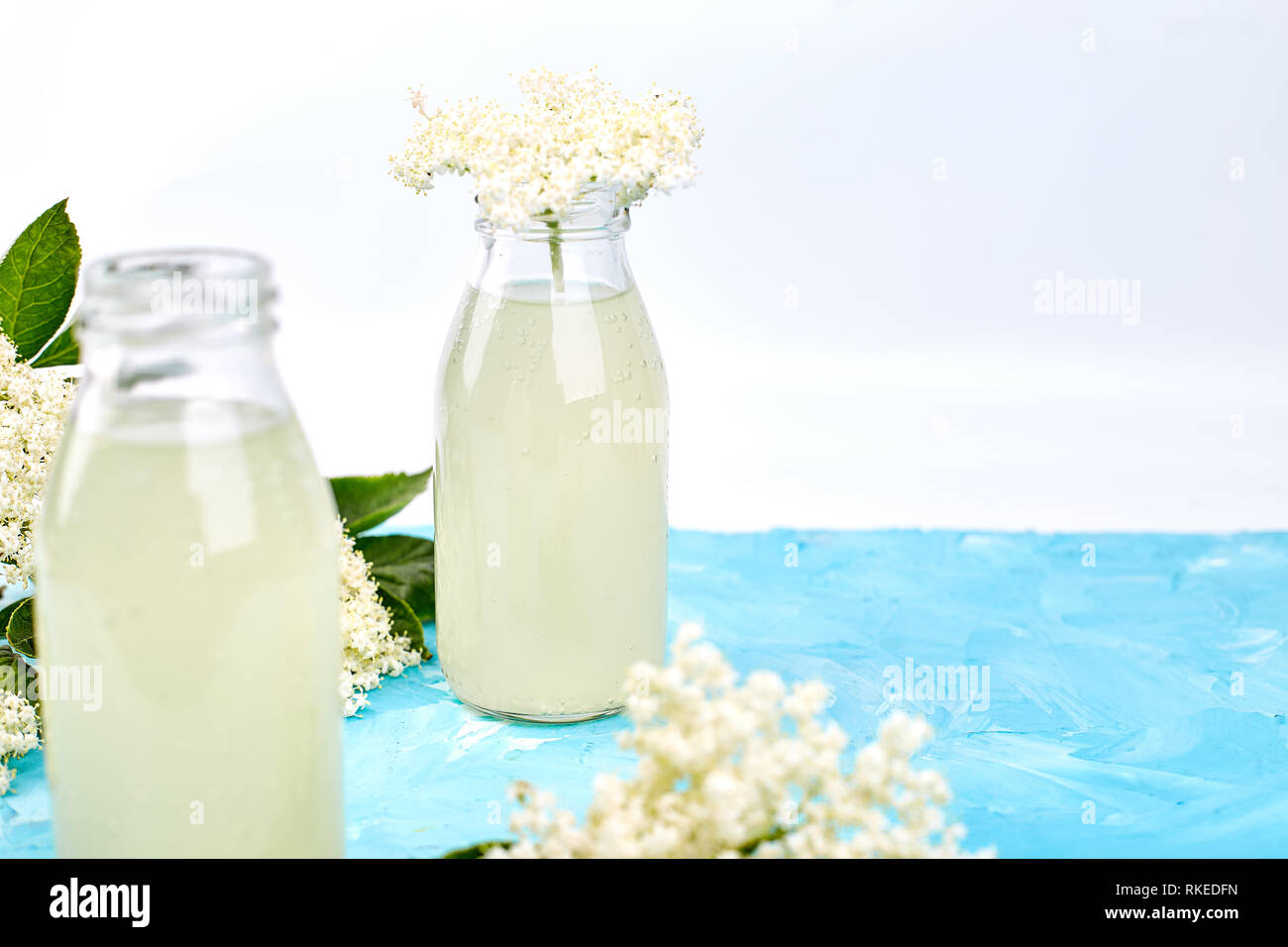 Kombucha tea with elderflower flower on blue background . Homemade ...
