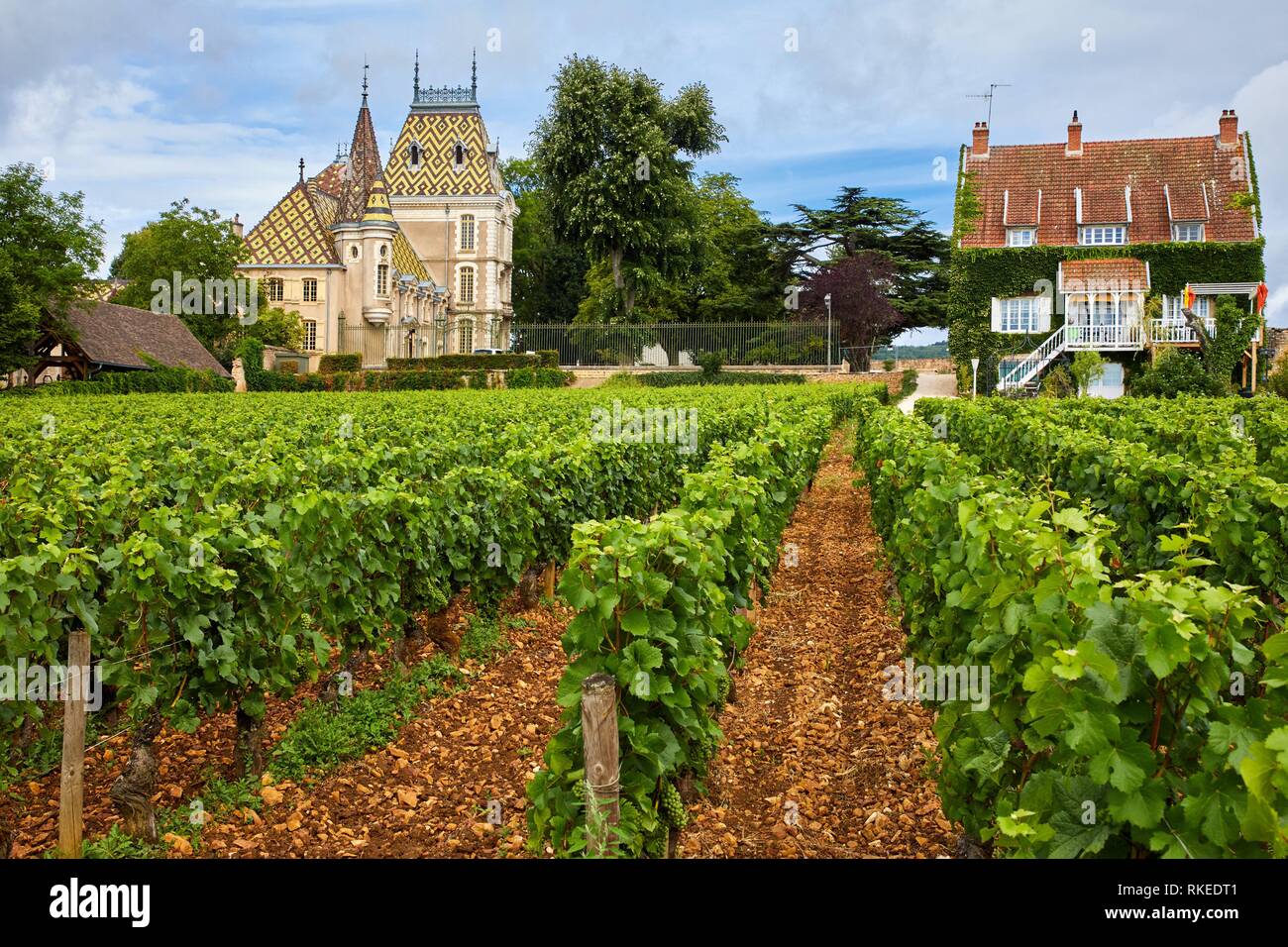 Corton andré hi-res stock photography and images - Alamy