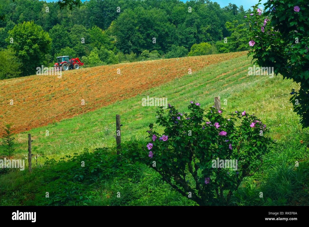 French France Farming Agriculture High Resolution Stock Photography and ...