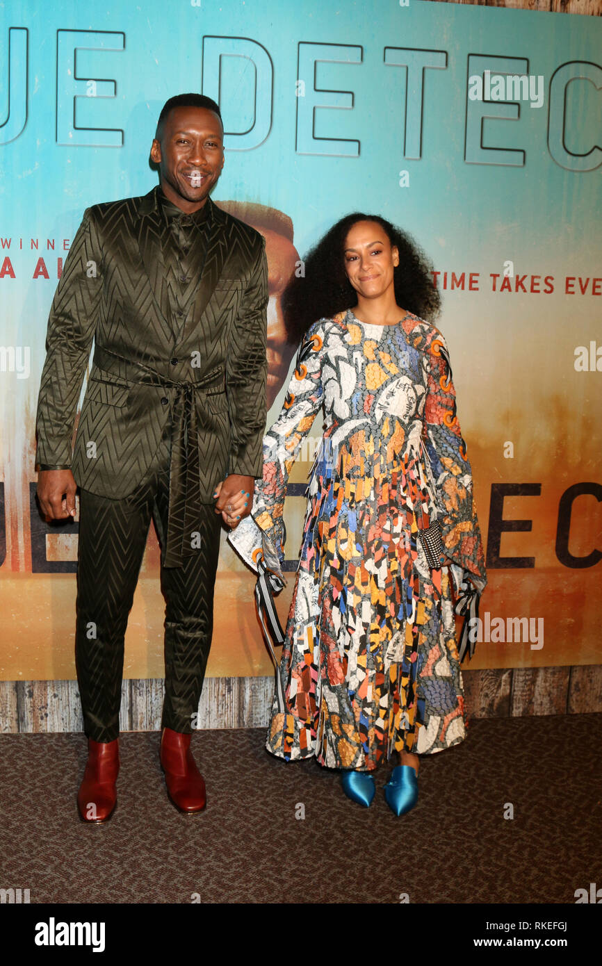 "True Detective" Season 3 Premiere Screening at the Directors Guild of ...