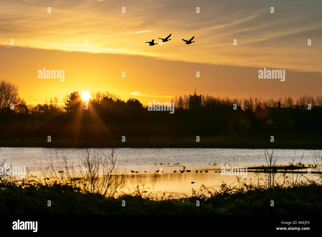 Ribble marshes national nature reserve hi-res stock photography and ...