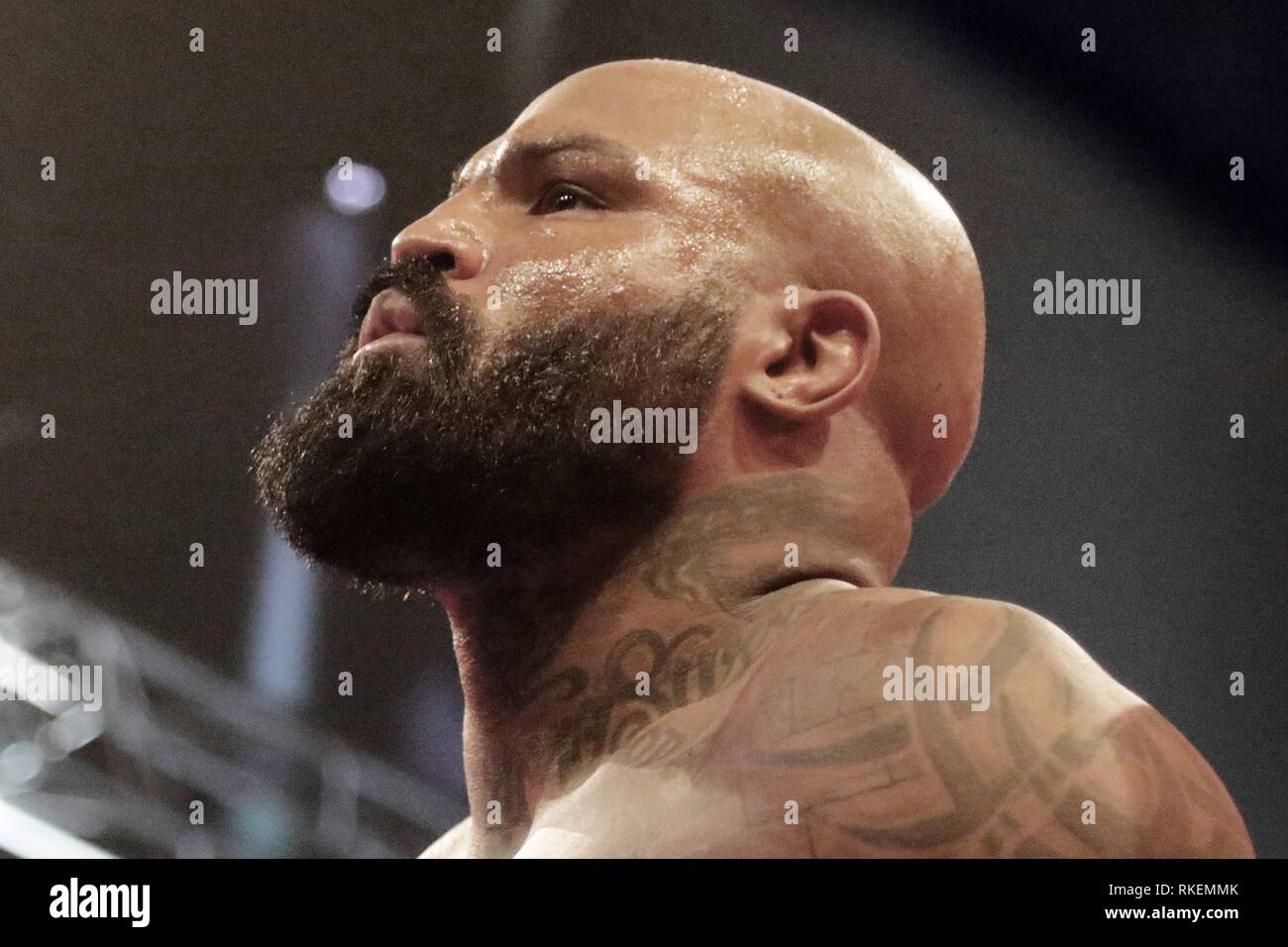 Berlin, Germany. 9th Feb, 2019. Ryan FORD (CAN). World Boxing Council ...