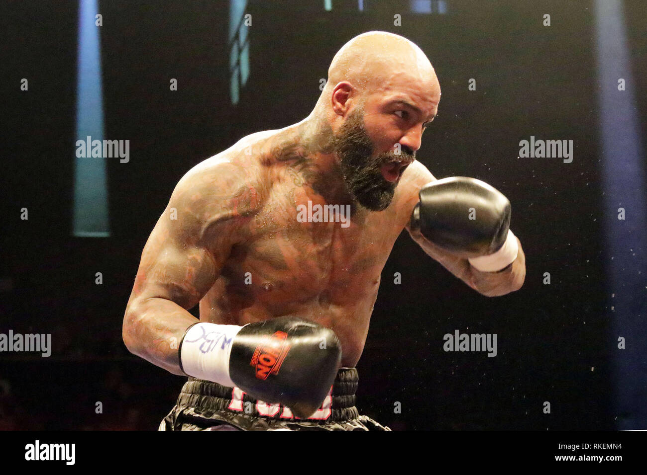 Berlin, Germany. 10th Feb, 2019. Ryan FORD (CAN). World Boxing Council ...
