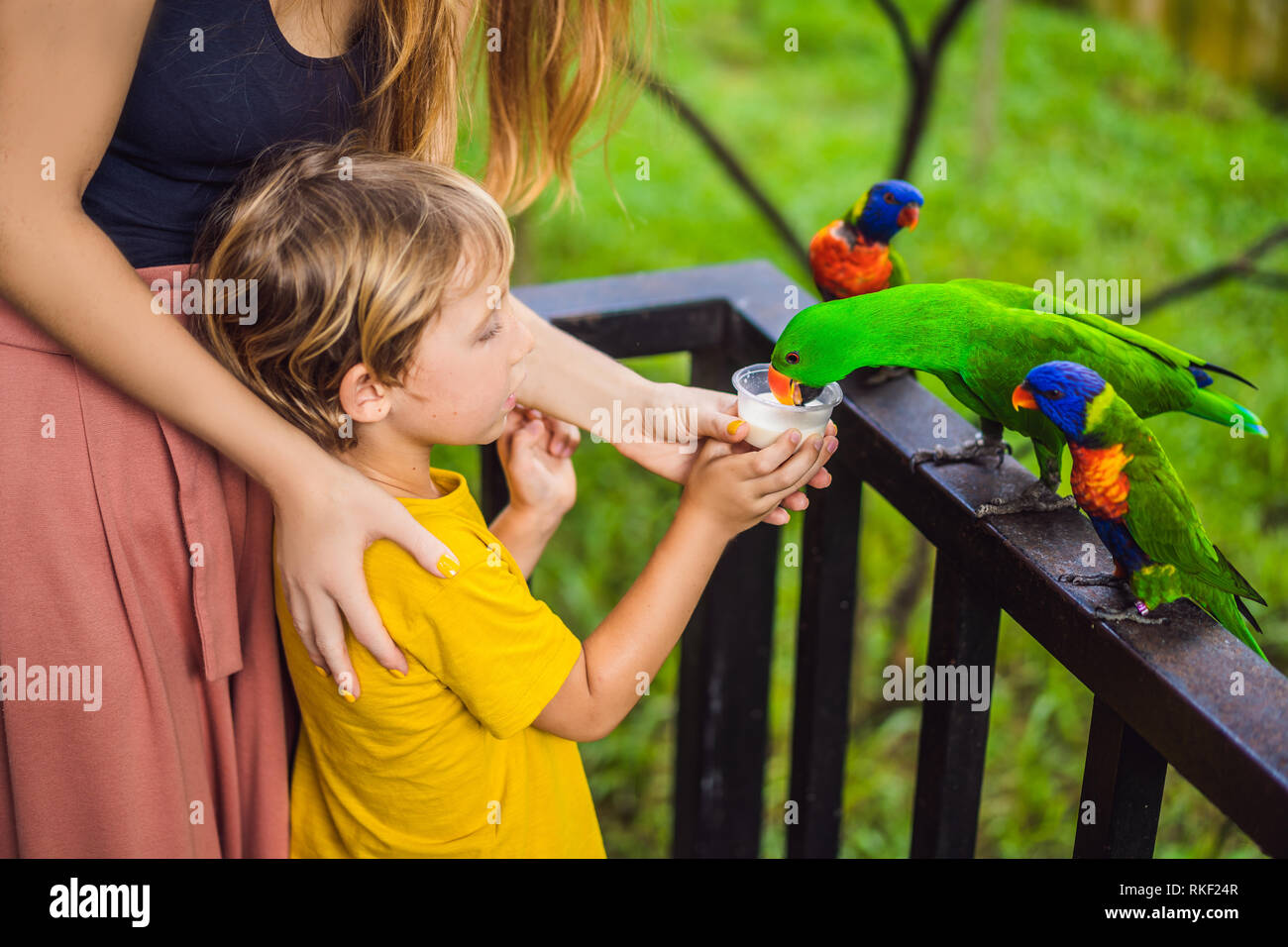 Mom and son feed the parrot in the park. Spending time with kids ...
