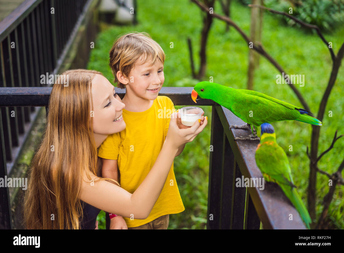Mom and son feed the parrot in the park. Spending time with kids ...