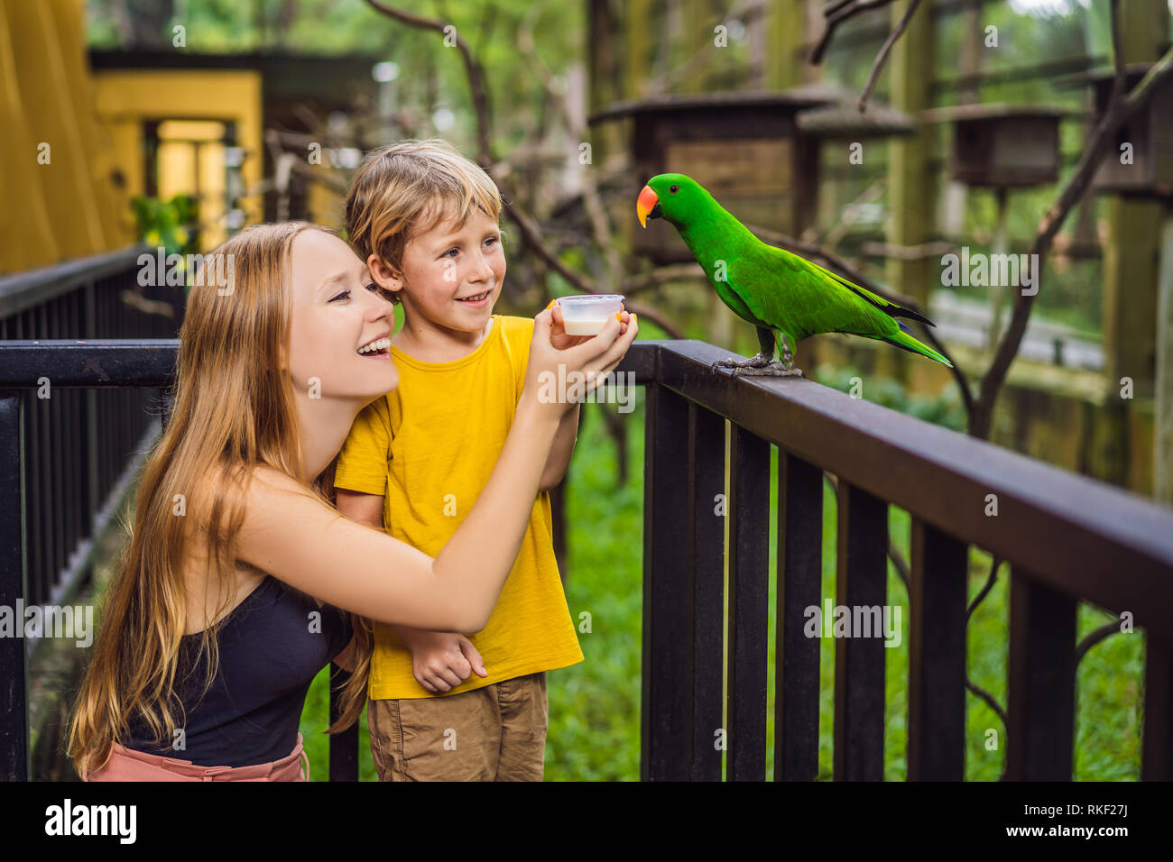 Mom and son feed the parrot in the park. Spending time with kids ...