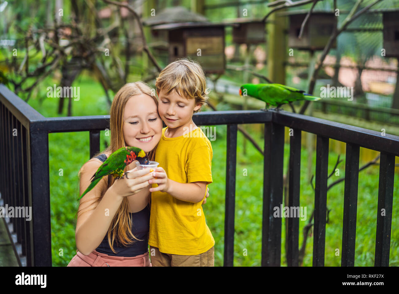 Mom and son feed the parrot in the park. Spending time with kids ...