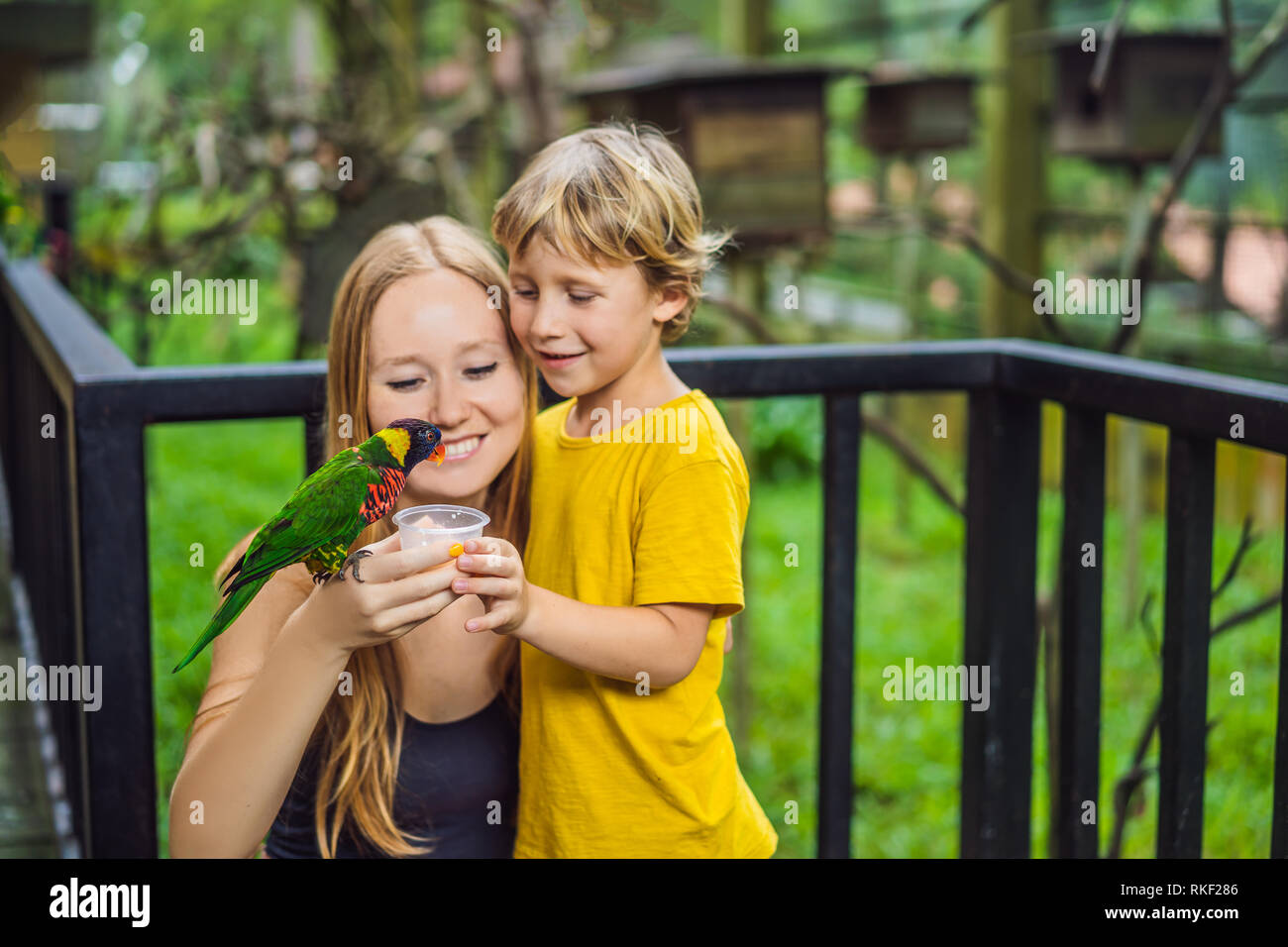 Mom and son feed the parrot in the park. Spending time with kids ...