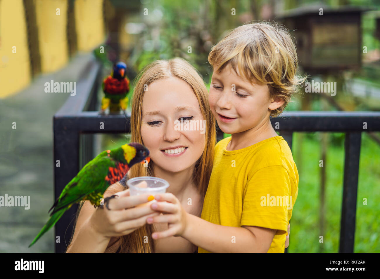 Mom and son feed the parrot in the park. Spending time with kids ...