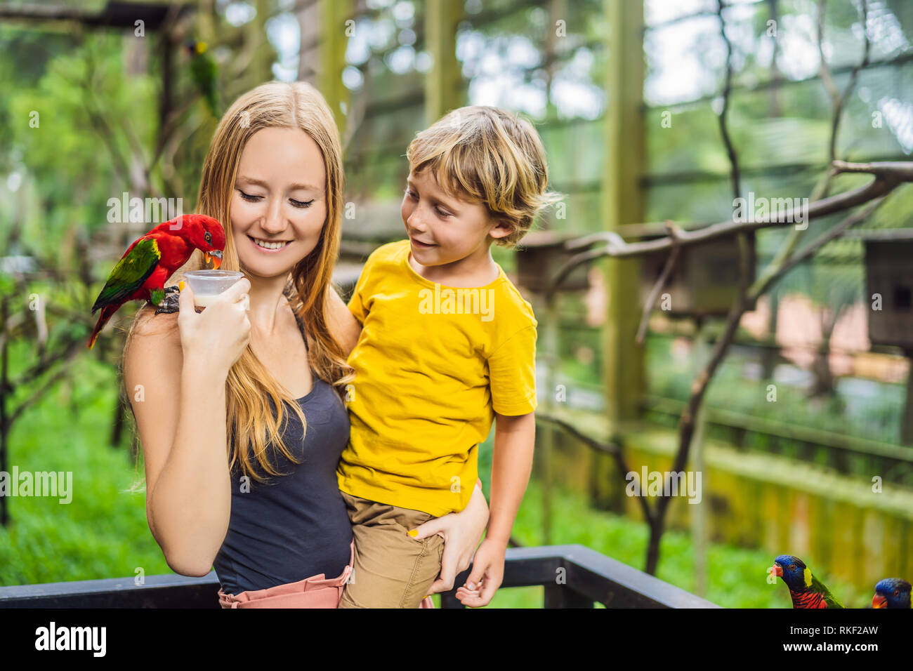 Mom and son feed the parrot in the park. Spending time with kids ...