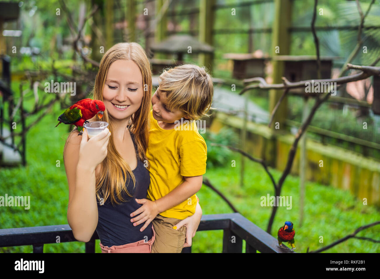 Mom and son feed the parrot in the park. Spending time with kids ...